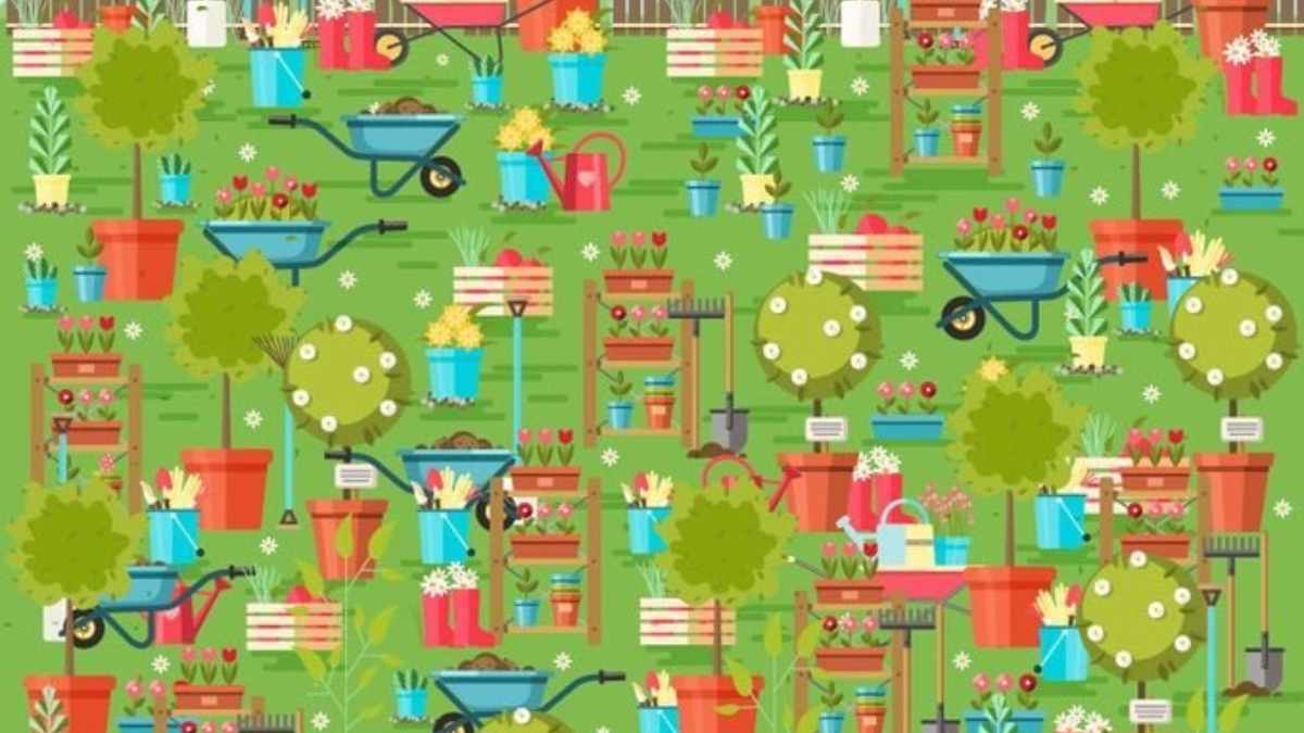 Can You Find The Hidden Easter Egg In This Optical Illusion In 7 Seconds 